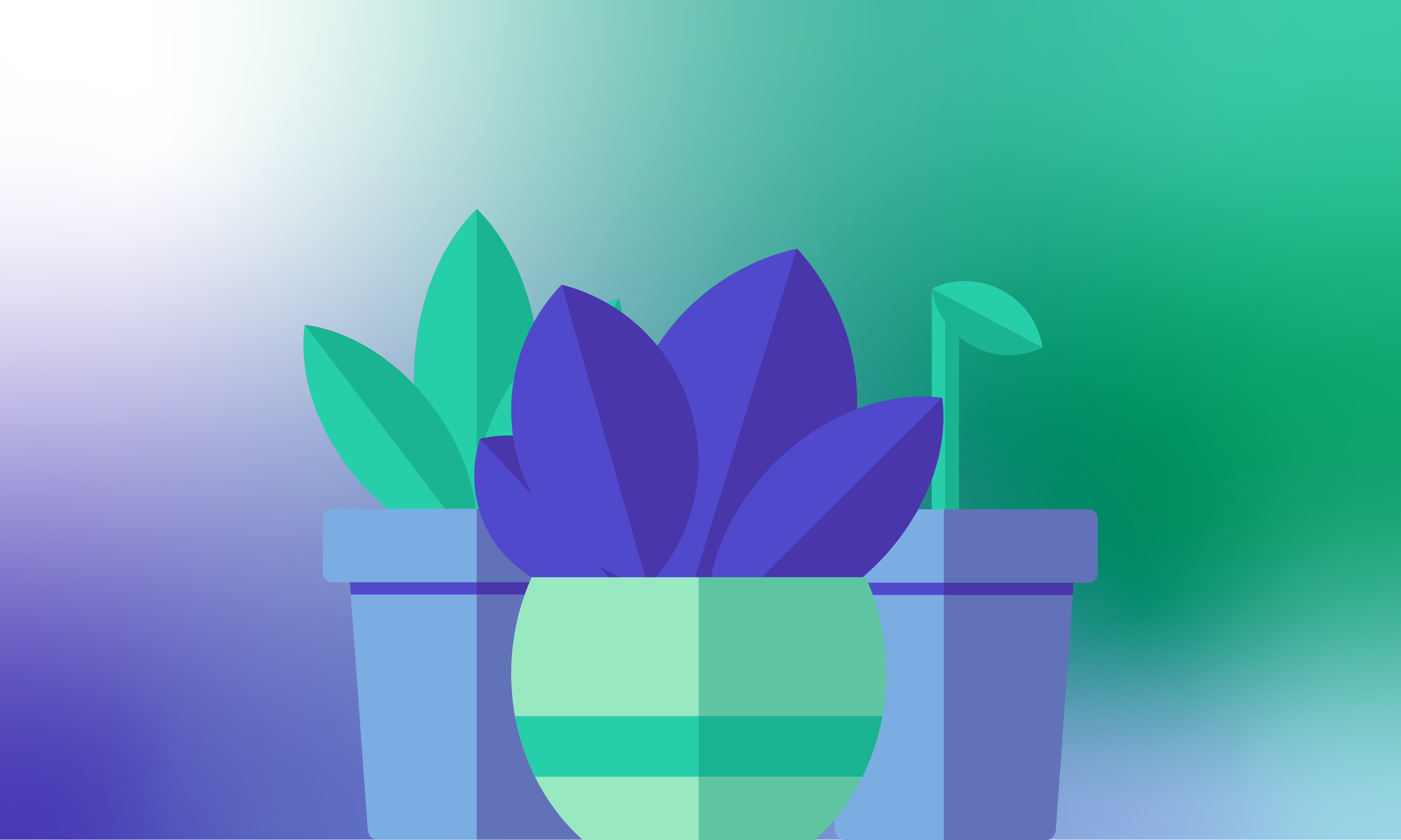 Rupert Ford's Portfolio - PORTFOLIO